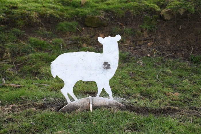 Mauser M18 Fenris | Bolt Action Rifle Reviews | Gun Mart