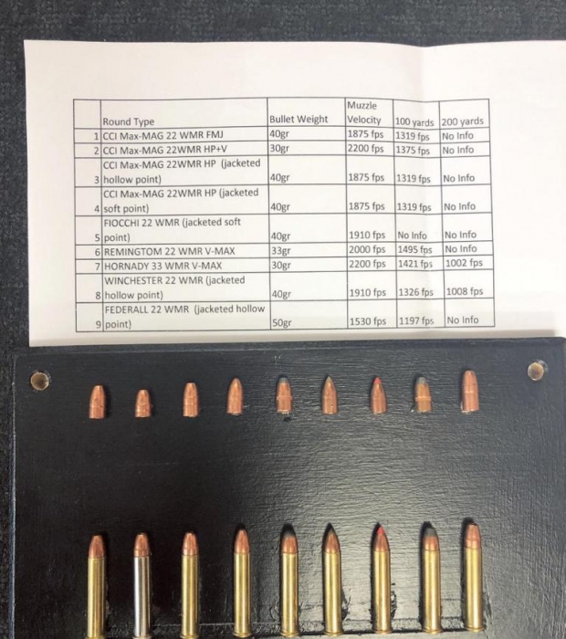 GunCraft .22 WMR AR15 | Semi Auto Rimfire Rifle Reviews | Gun Mart