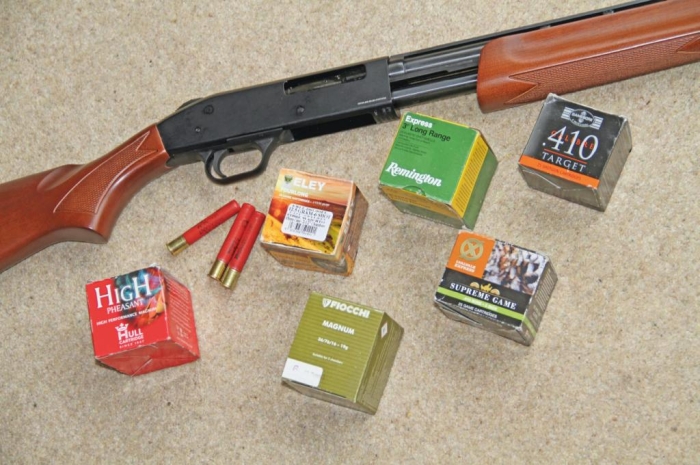 410 Pump Shotgun