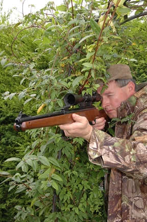 Diana 430 Stutzen | Spring Air Rifle Reviews | Gun Mart