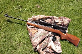 Diana 280 | Spring Air Rifle Reviews | Gun Mart