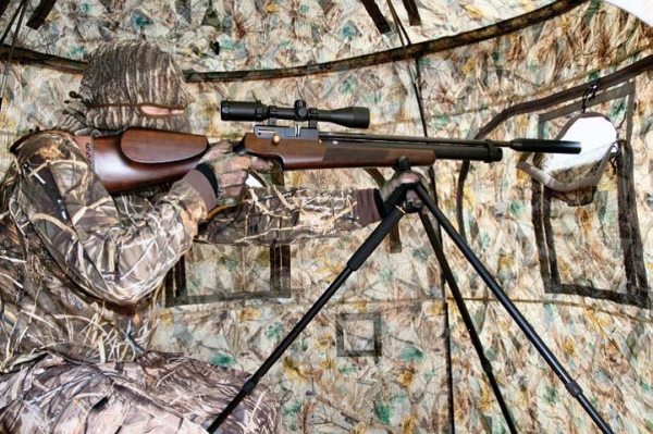 A winters Tale - Hunting Quarry | Hunting | Gun Mart