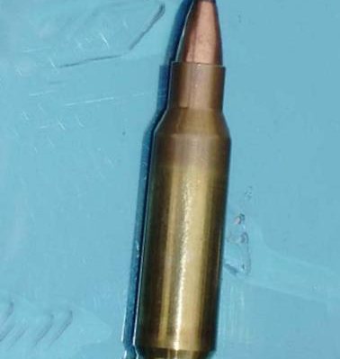 Case Histories: .221 Fireball | Rifle Ammunition | Gun Mart