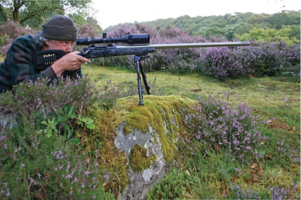Wildcatting:Believe the Hype | Rifle Ammunition | Gun Mart
