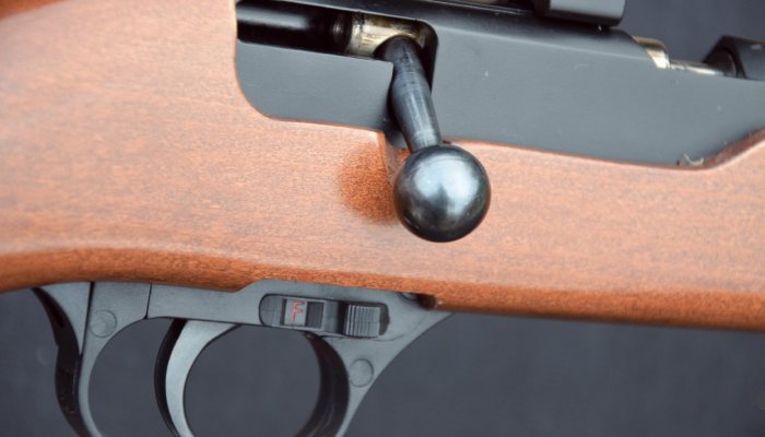 SMK XS501 | CO2 Air Rifle Reviews | Gun Mart