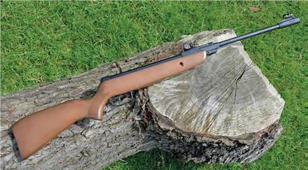 Top 10 Junior Rifles | Air Rifle Reviews | Gun Mart